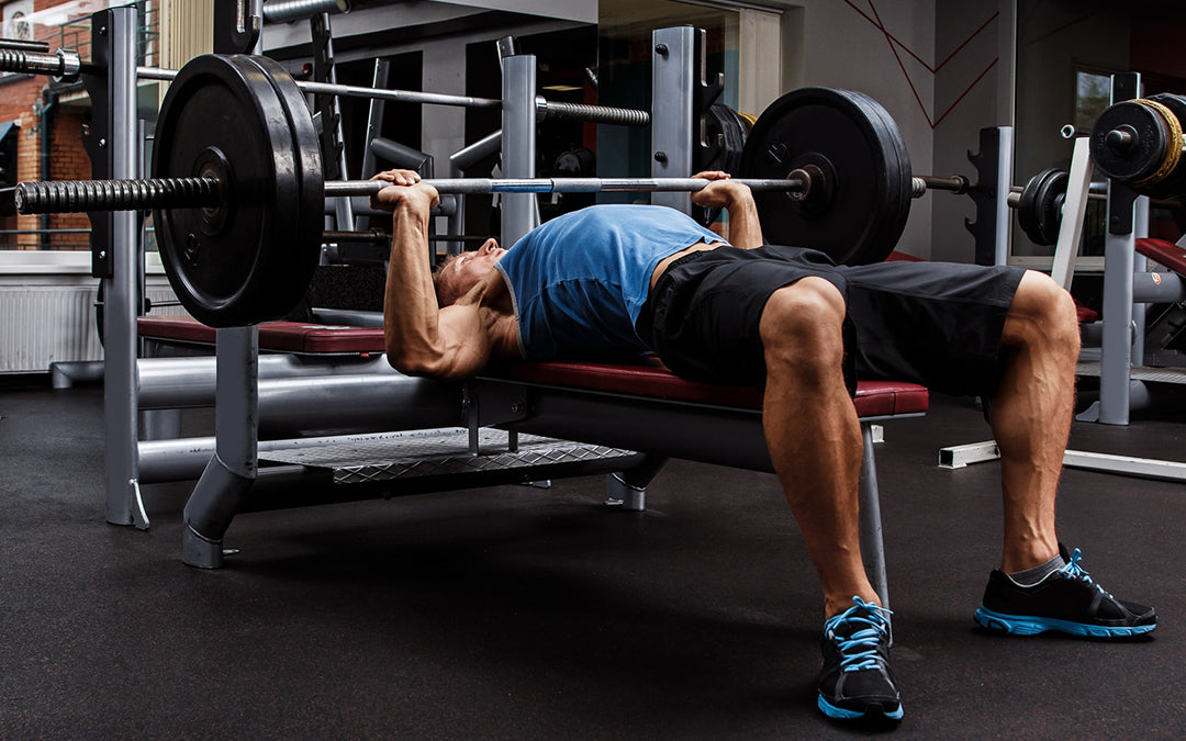 Shortcut To Summer: Muscle Building Program - All Star Nutrition/Total ...